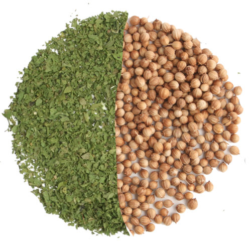 Découvrez les traditions culinaires du monde avec 7 épices